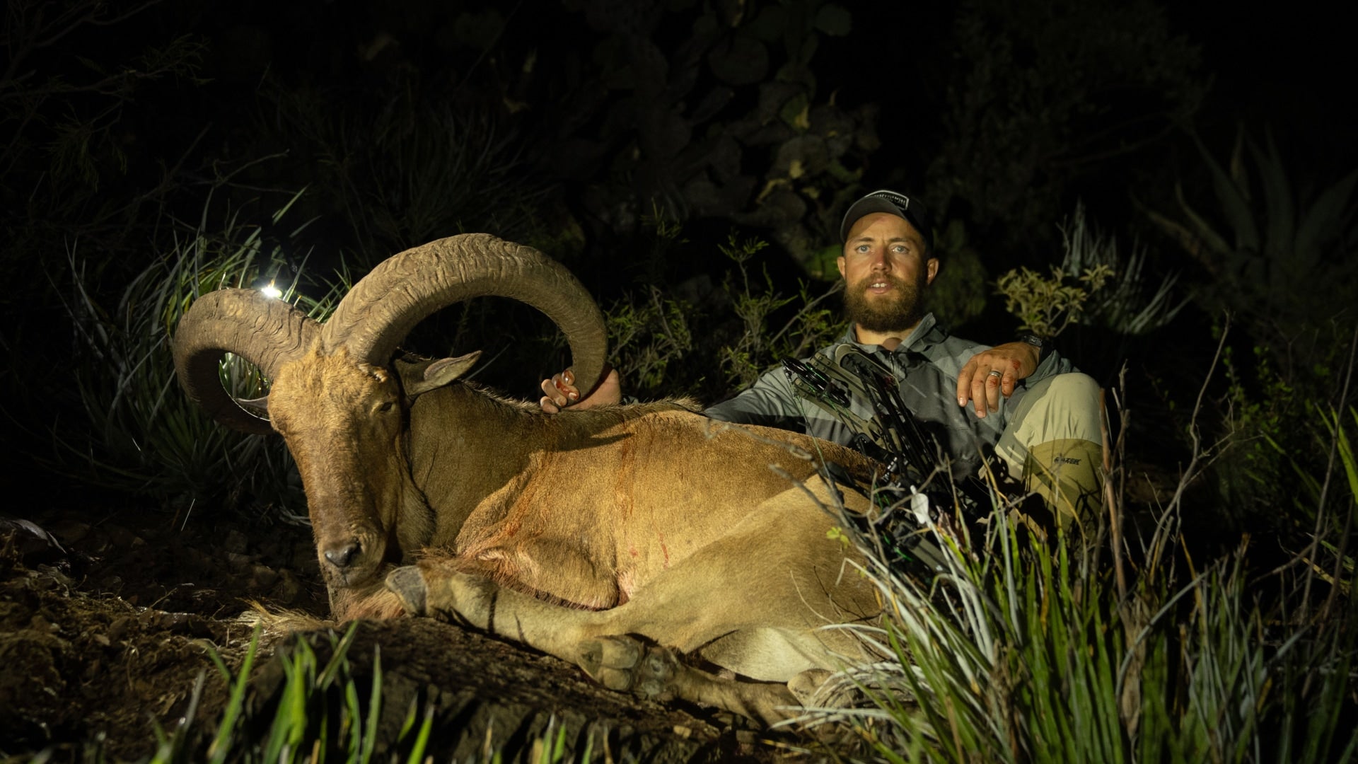 AOUDAD HUNT EXPERIENCE – MTN OPS