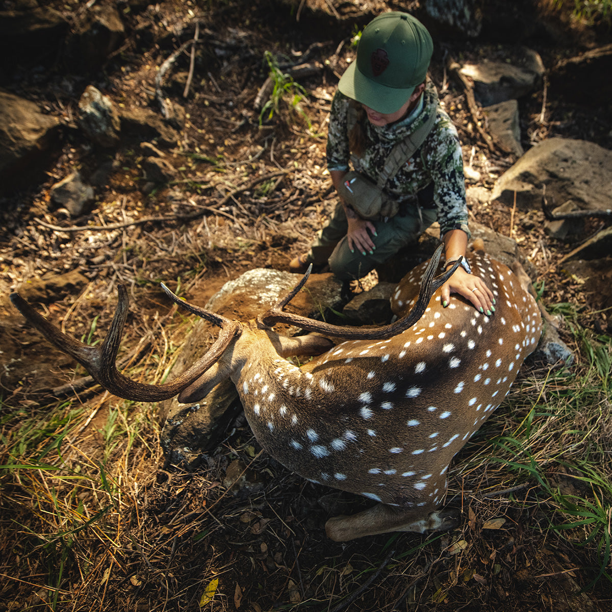 TEXAS AXIS DEER HUNT EXPERIENCE – MTN OPS